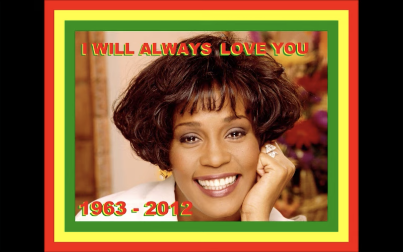 Pam Hall – I Will Always Love You [Whitney Houston] | eyeshadow